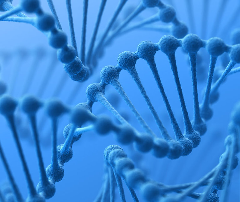 ERDC's DNA-Based Testing for Environmental Contamination